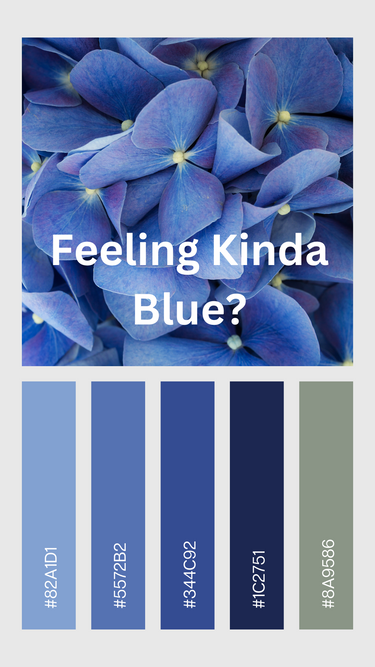 Top 10 Blue Wallpaper Designs to Transform Your Space – Nobletts Wallpaper