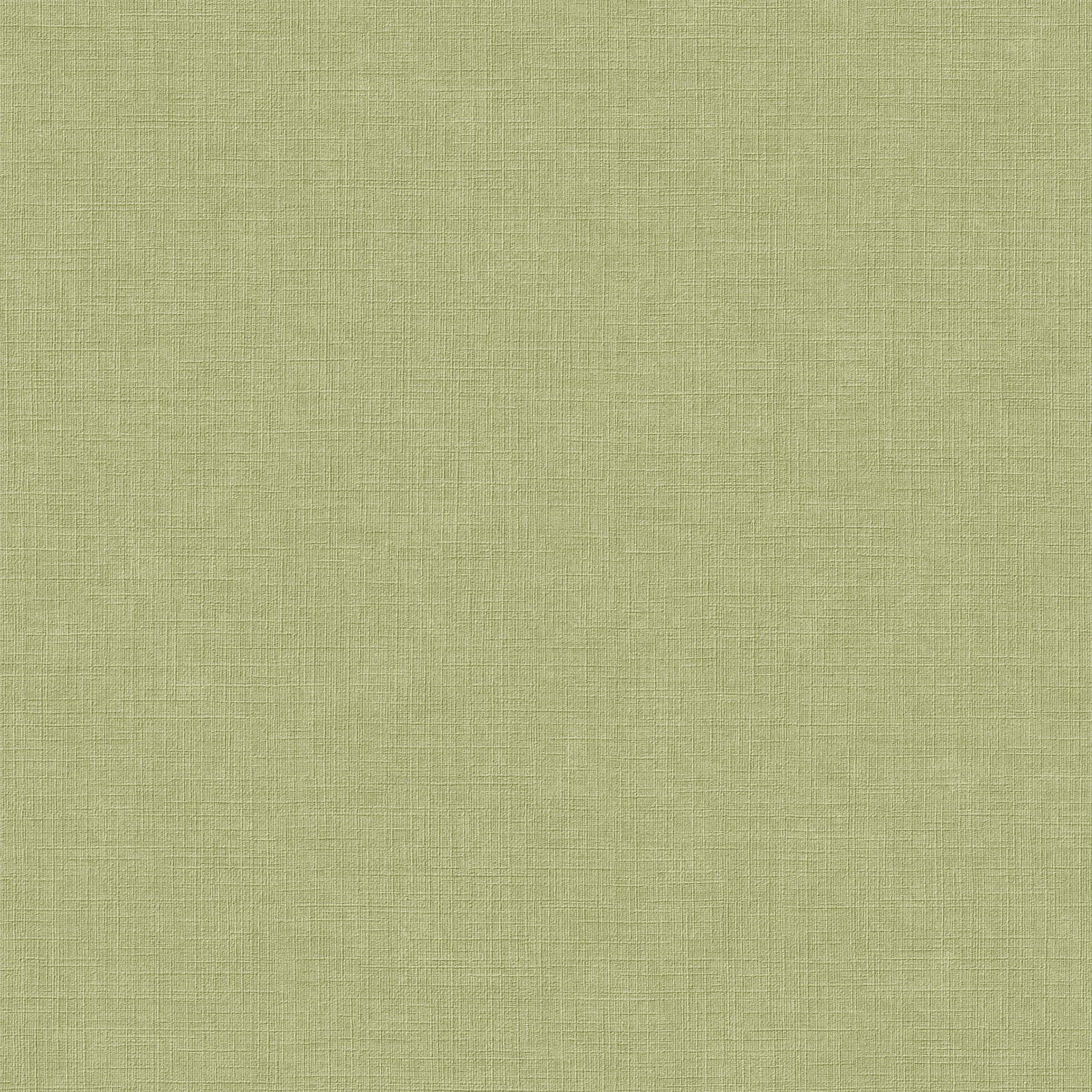 Arcadia Solena Plain Texture Green Wallpaper – Nobletts Wallpaper