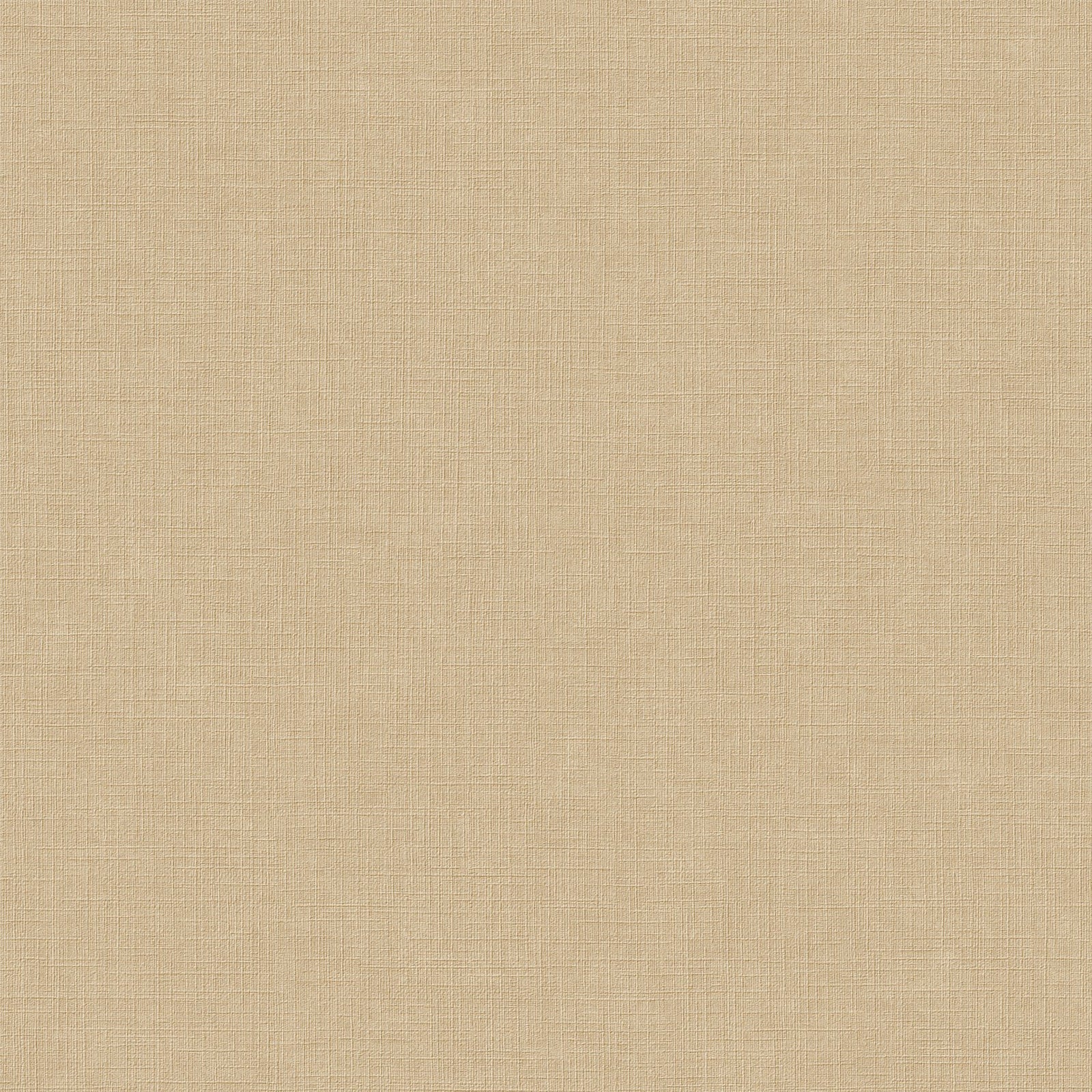 Arcadia Solena Plain Texture Sand Wallpaper – Nobletts Wallpaper