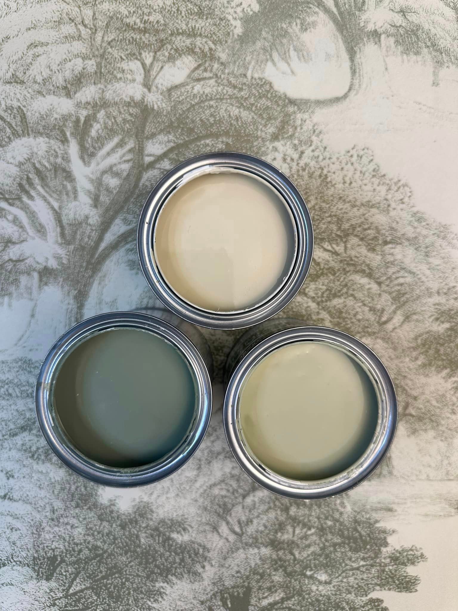 Paul Moneypenny Wallpaper Collection Belvoir Forest Green - Nobletts – Nobletts Wallpaper